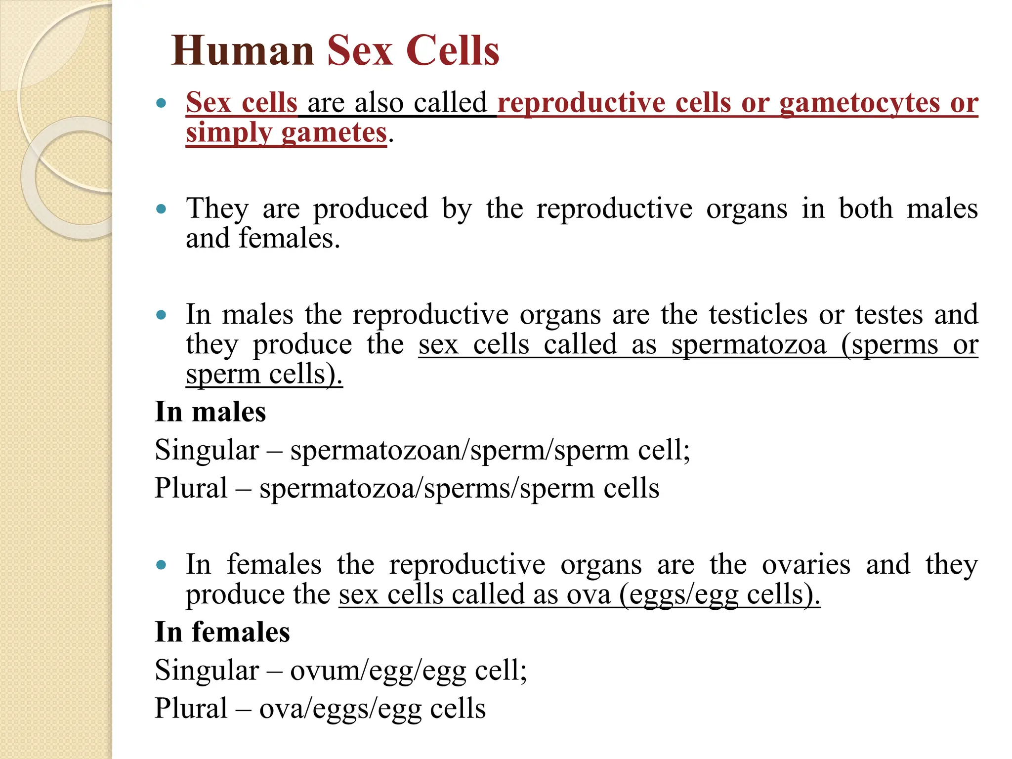 Presentation on the Cell, cell cycle.pptx