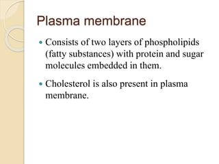 Presentation on the Cell, cell cycle.pptx