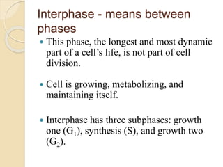 Presentation on the Cell, cell cycle.pptx