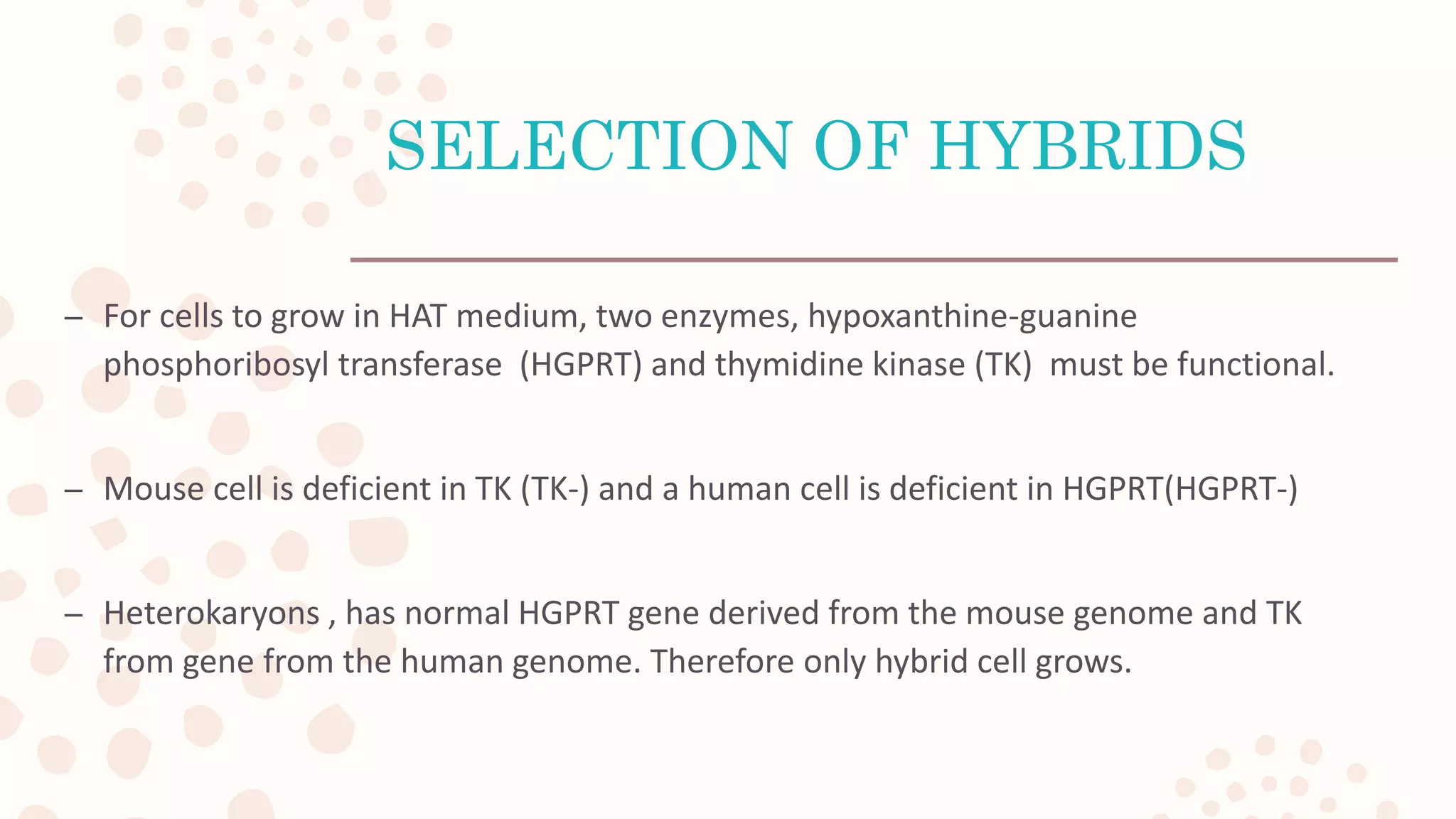 Cell cell hybridization or somatic cell hybridization | PPTX