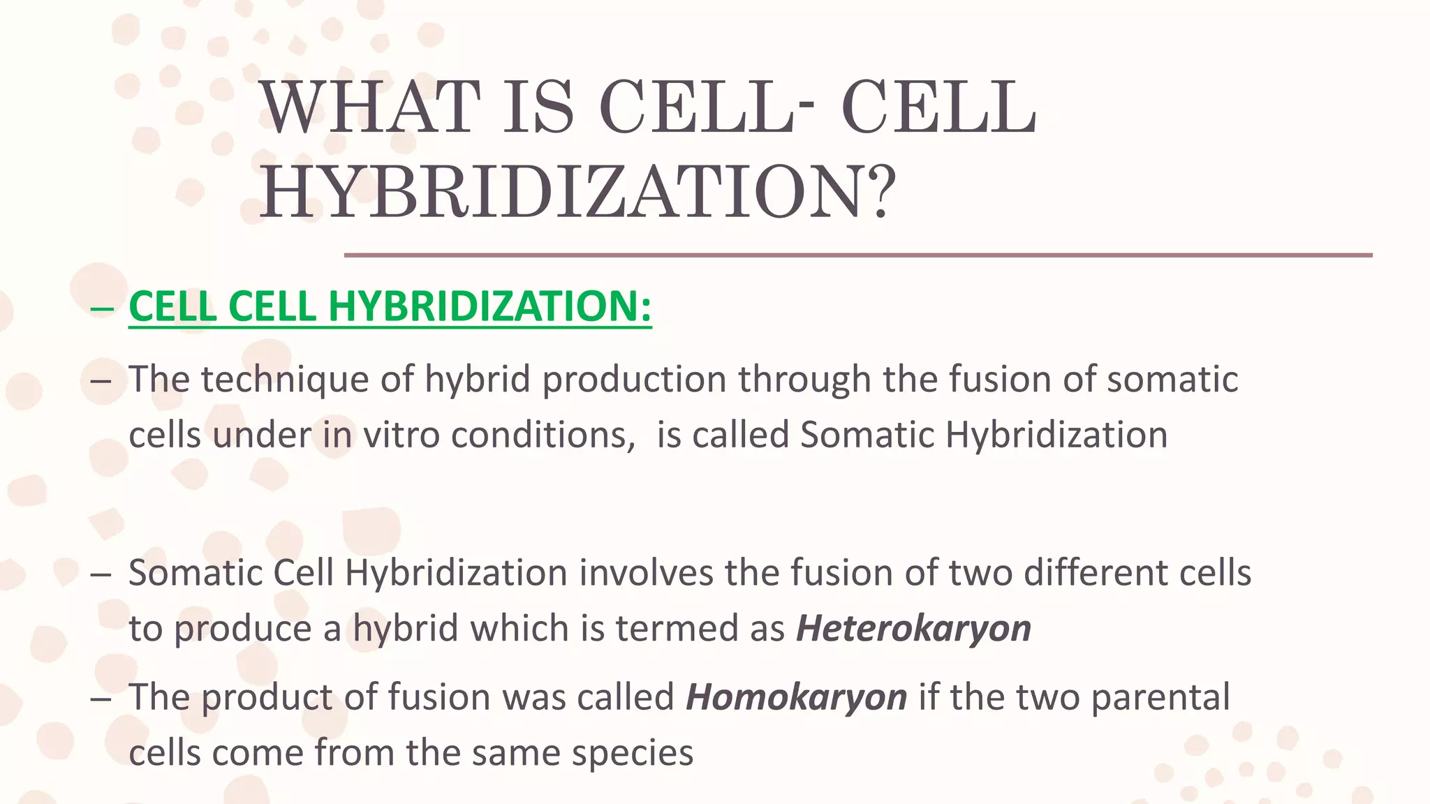 Cell cell hybridization or somatic cell hybridization | PPTX