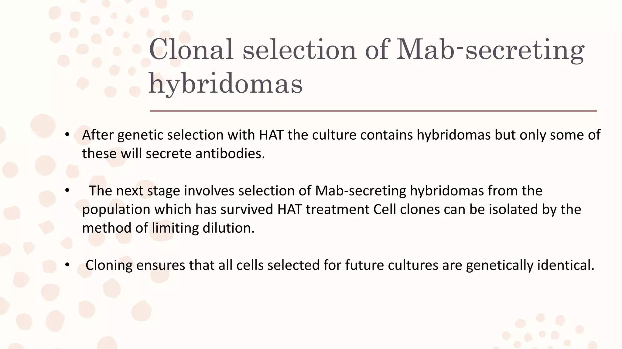 Cell cell hybridization or somatic cell hybridization | PPTX