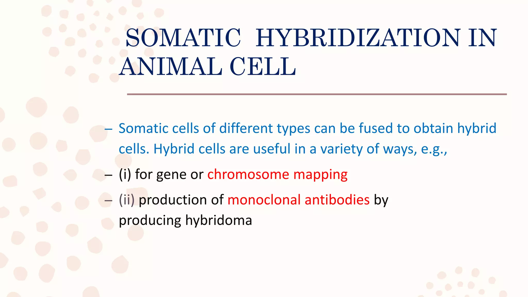 Cell cell hybridization or somatic cell hybridization | PPTX