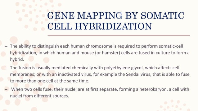 Cell cell hybridization or somatic cell hybridization | PPTX