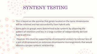 Cell cell hybridization or somatic cell hybridization | PPTX