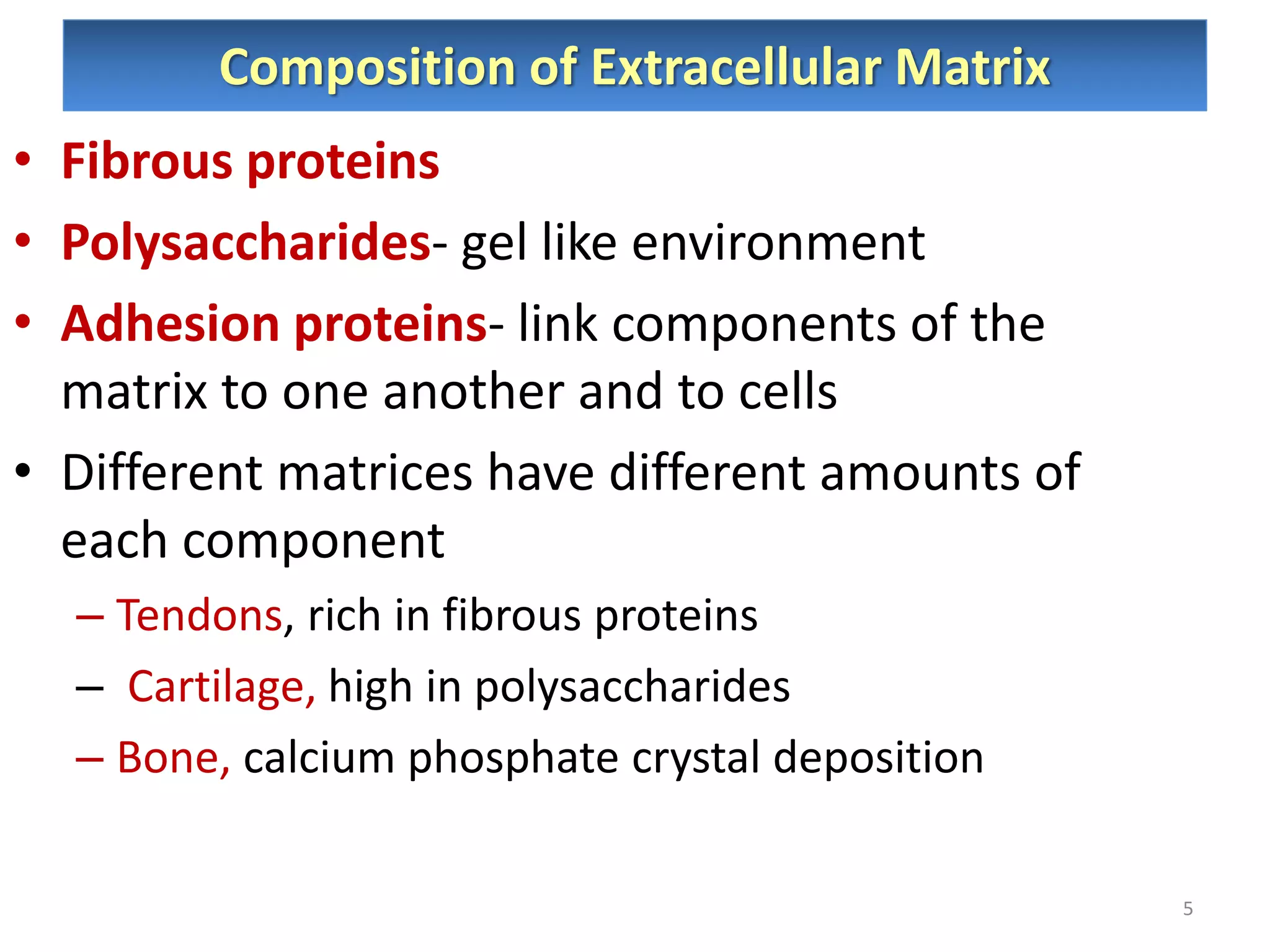 Cell cell interactions.ppt | Biological Sciences | Science