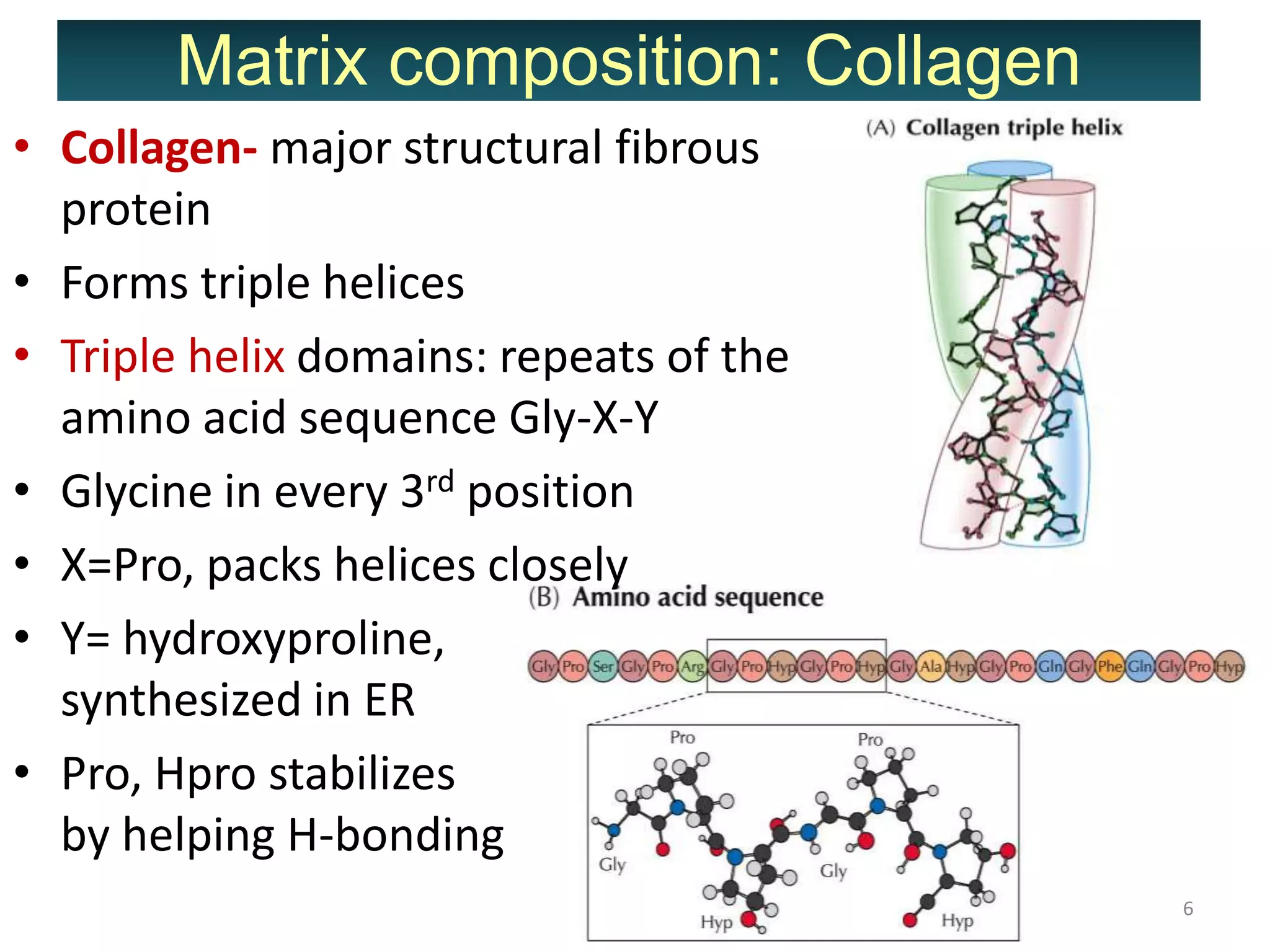 Cell cell interactions.ppt
