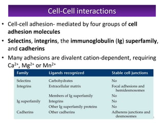 Cell cell interactions.ppt