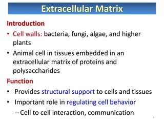 Cell cell interactions.ppt