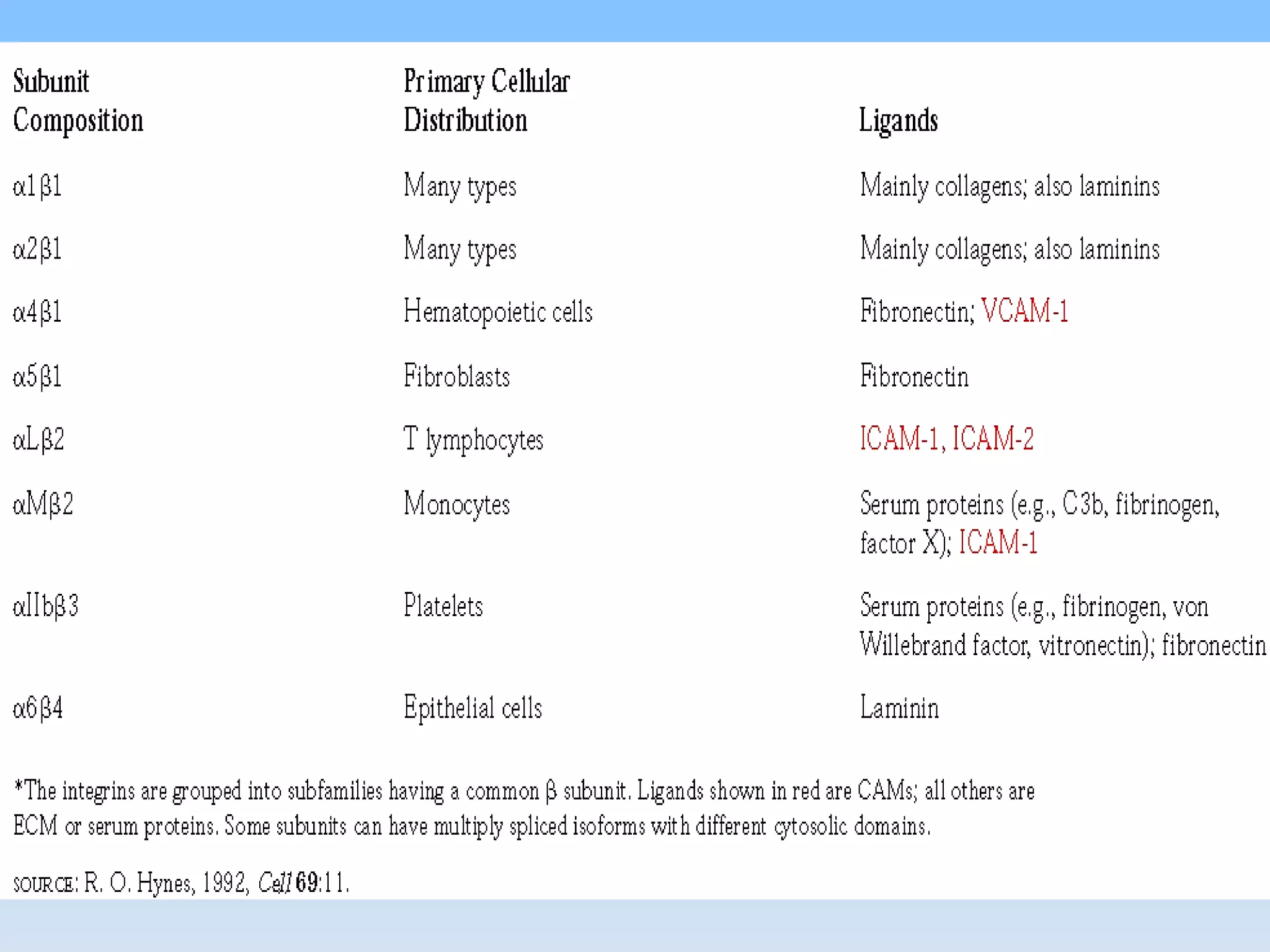 Cell-Cell Interaction (Part 1: Cell Junctions) | PPTX
