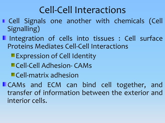 Cell-Cell Interaction (Part 1: Cell Junctions) | PPTX