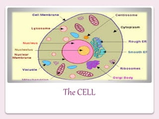 Cell & cell membrane | PPT