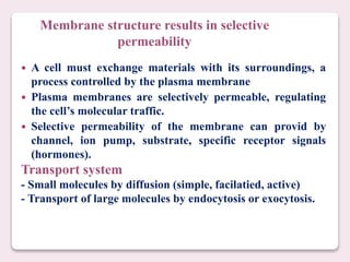Cell & cell membrane | PPTX