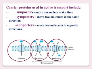 Cell & cell membrane | PPTX