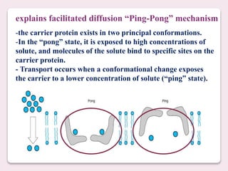 Cell & cell membrane | PPT