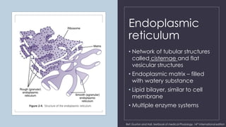 Cell & cell organelles physiology for nurses | PDF