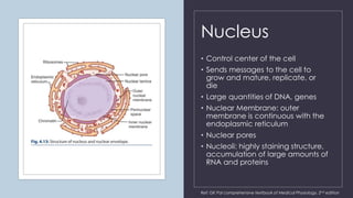 Cell & cell organelles physiology for nurses | PDF