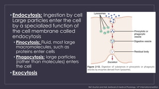 Cell & cell organelles physiology for nurses | PDF