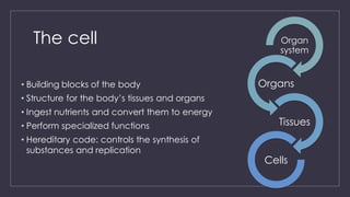 Cell & cell organelles physiology for nurses | PDF