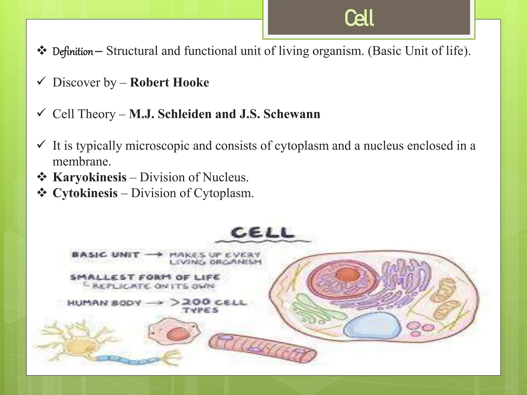 cell, cell structure and function, Prokaryotic cell and Eukaryotic cell , Plant and animal cell ...