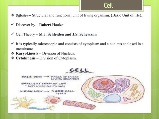 cell, cell structure and function, Prokaryotic cell and Eukaryotic cell , Plant and animal cell ...