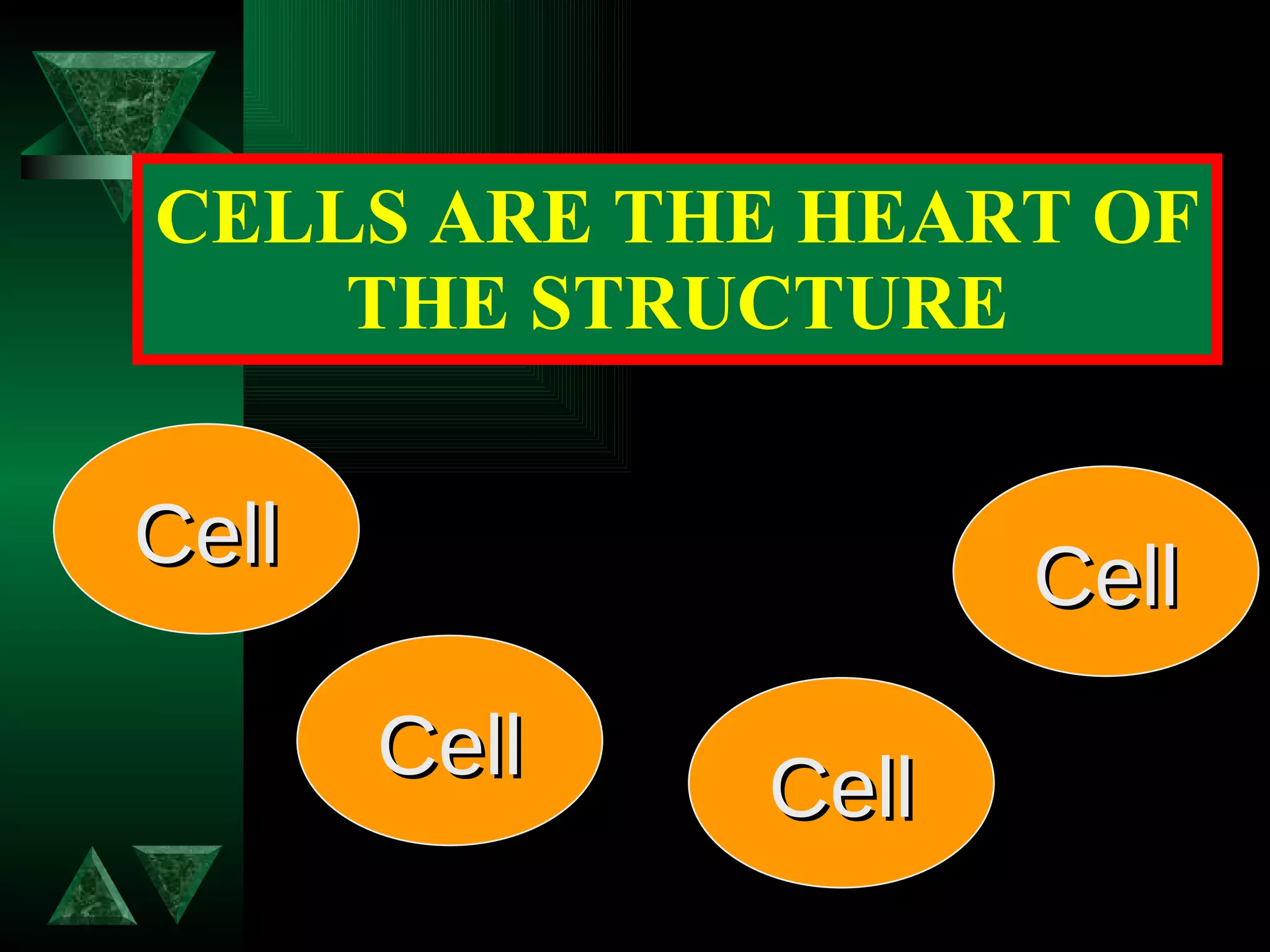 Cell Church Models | PPT