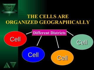 Cell Church Models | PPT