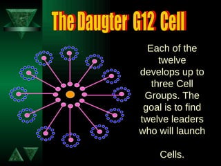 Cell Church Models | PPT