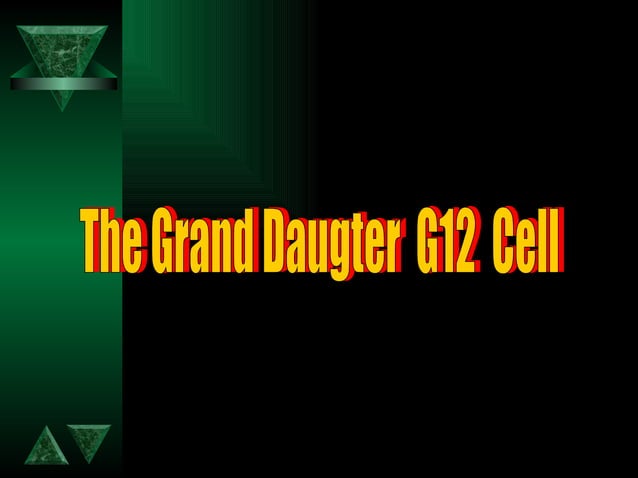 Cell Church Models | PPT