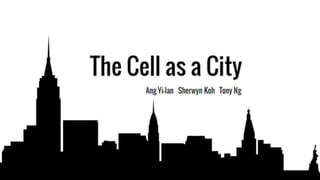 Cell City | PPTX