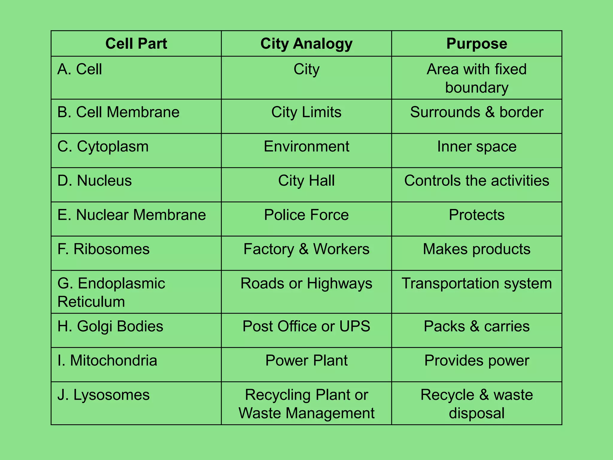 cell city .pptx