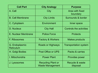 cell city .pptx