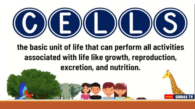 Animal and Plant: Cell Organelles in a City Activity | PPTX ...