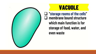 Animal and Plant: Cell Organelles in a City Activity | PPTX
