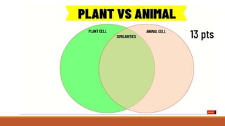 Animal and Plant: Cell Organelles in a City Activity | PPTX