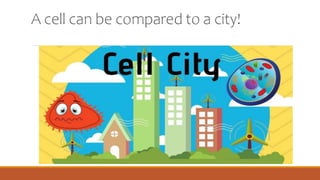 Animal and Plant: Cell Organelles in a City Activity | PPTX