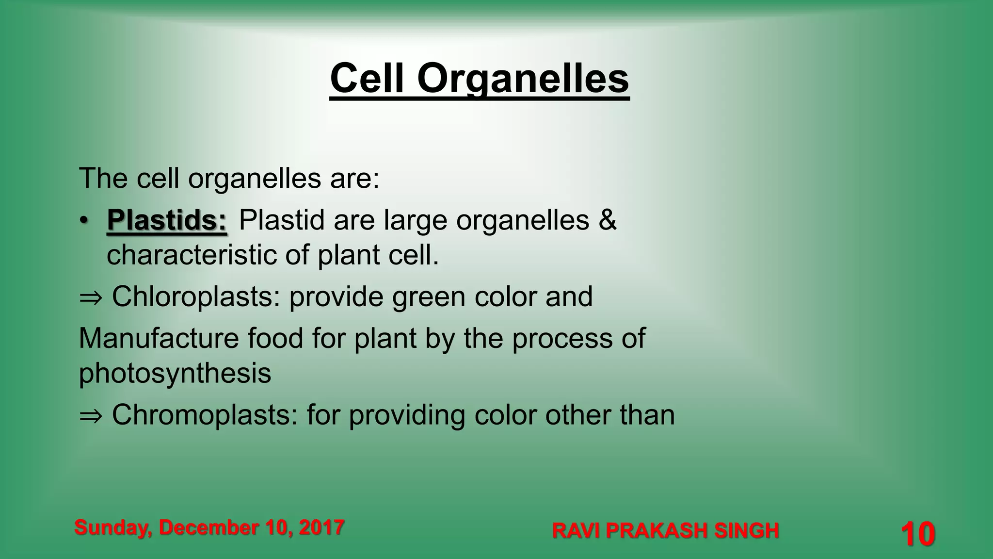 Cell class 8 presentation | PDF