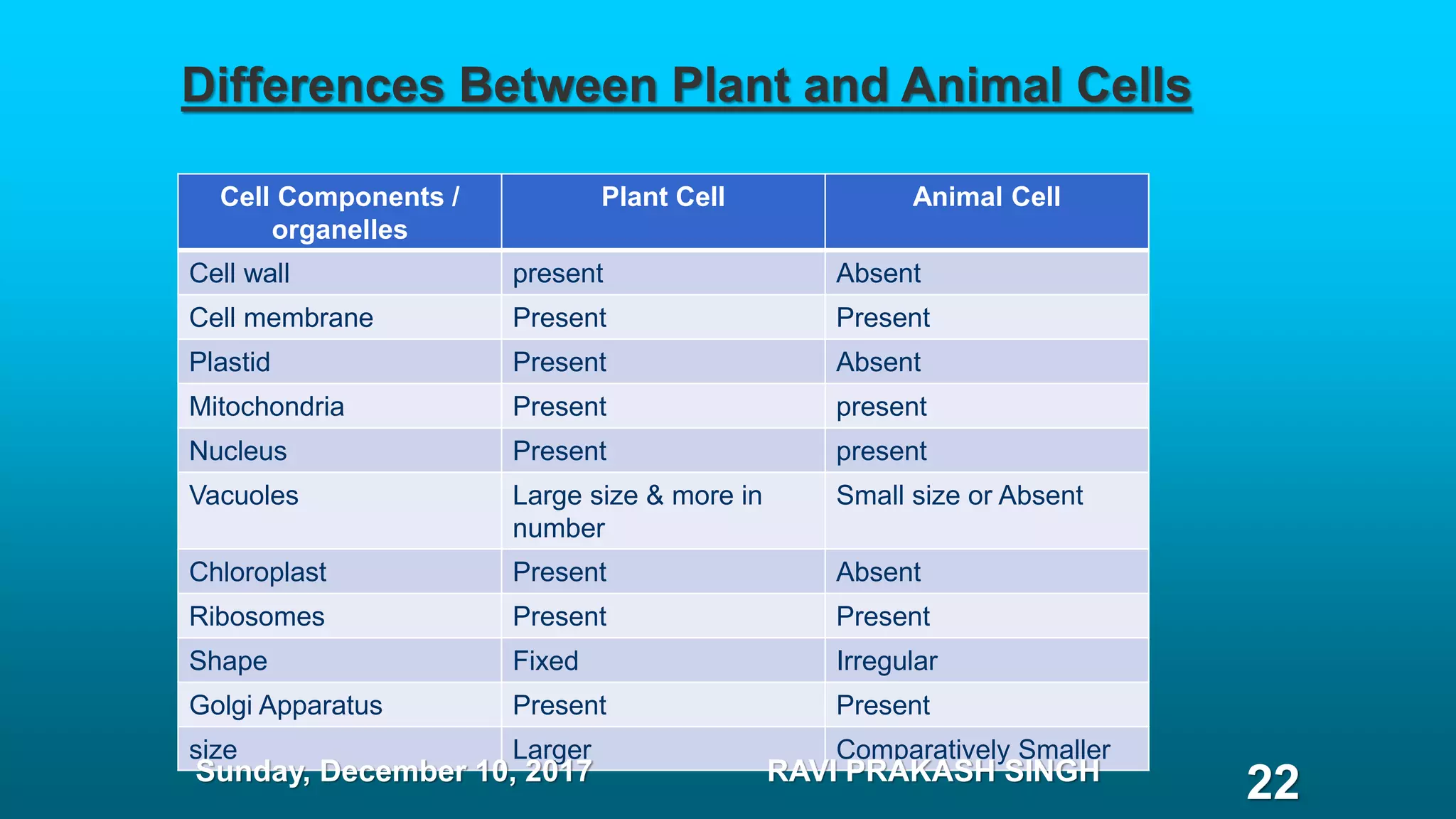 Cell class 8 presentation | PDF