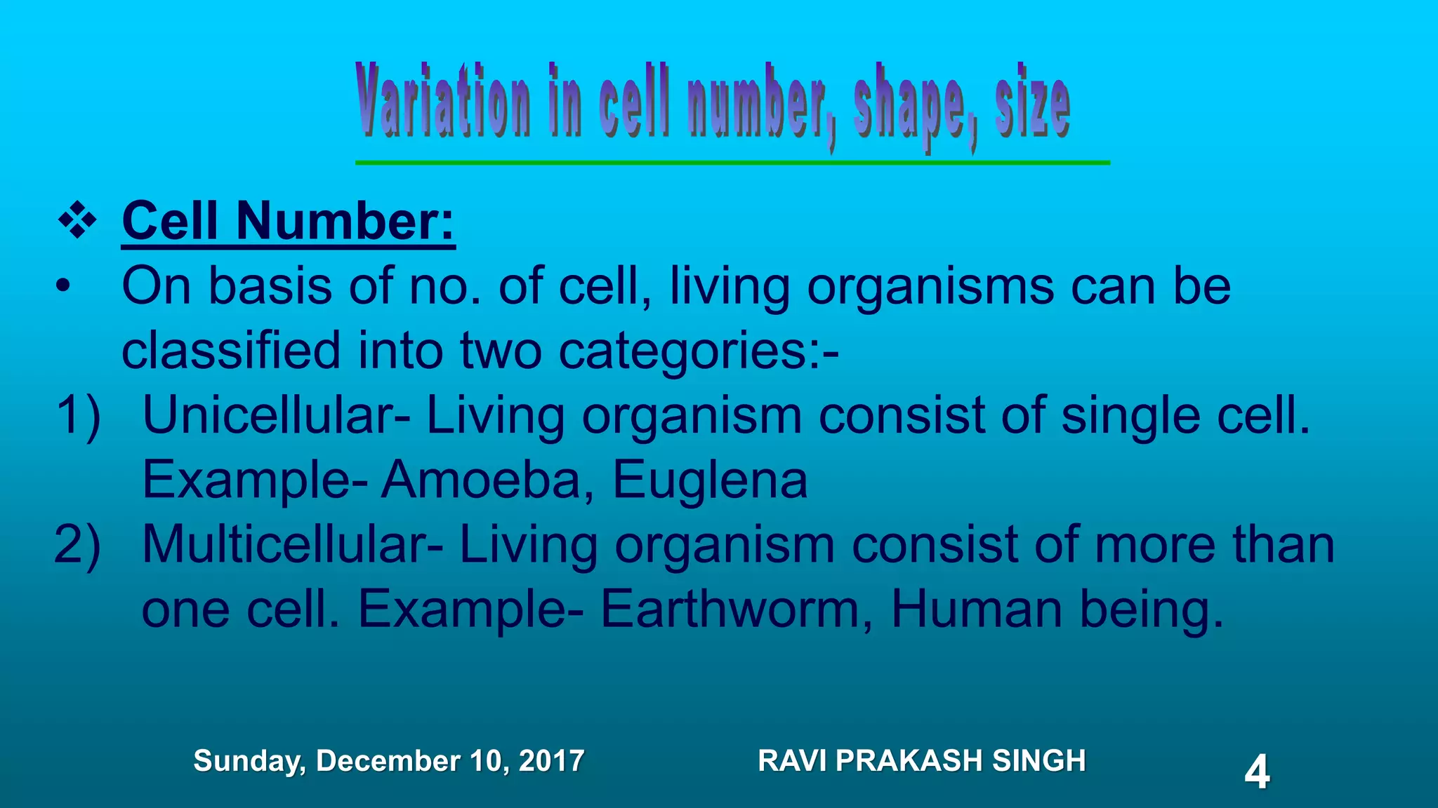 Cell class 8 presentation | PDF