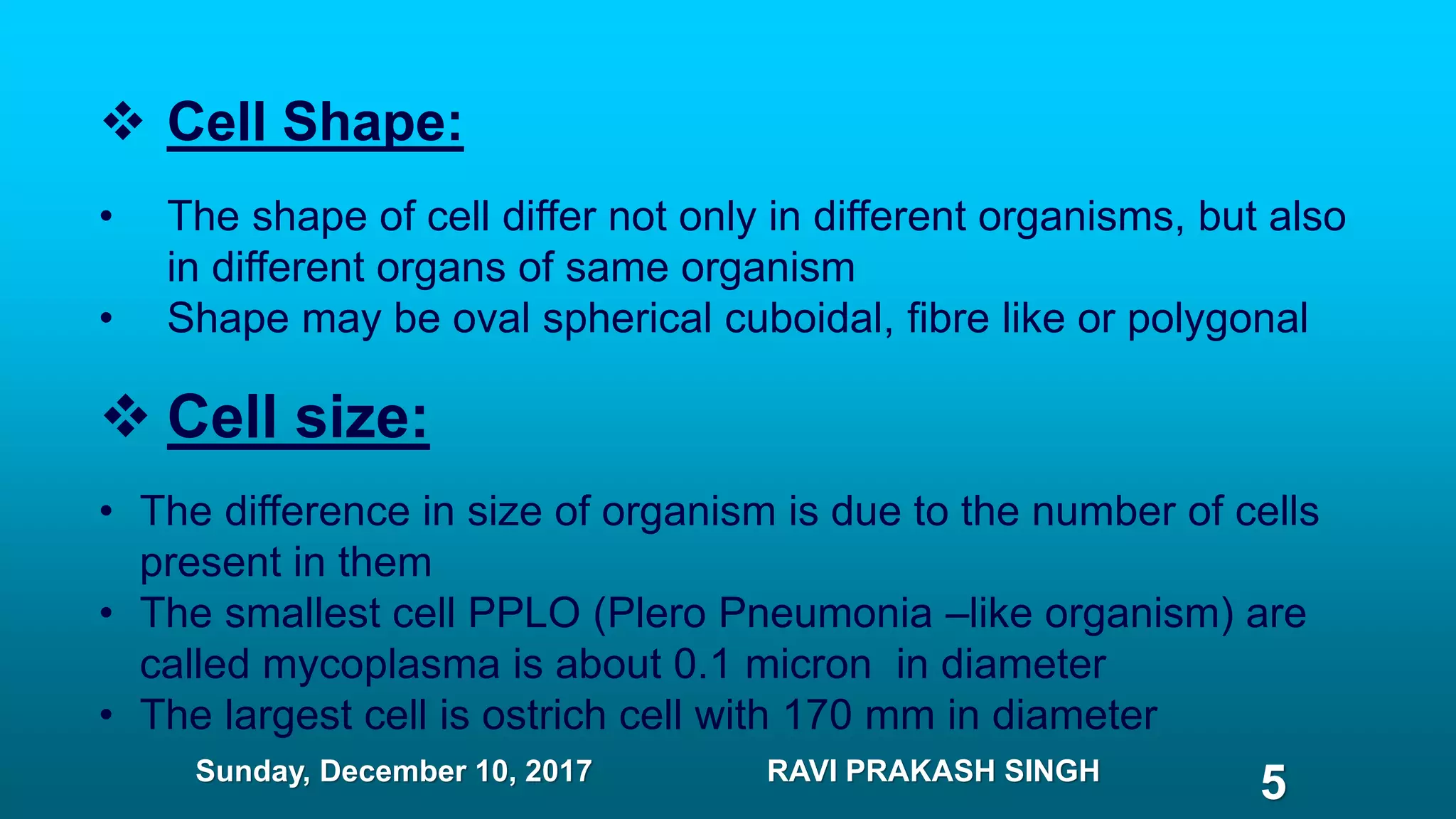 Cell class 8 presentation | PDF