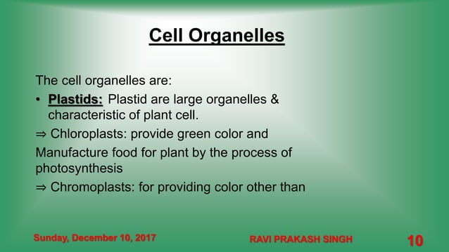 Cell class 8 presentation | PDF | Biological Sciences | Science