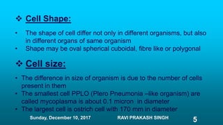 Cell class 8 presentation | PDF