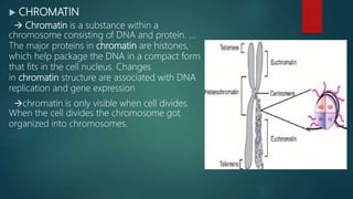 fundamental unit of life | PPTX