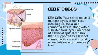 gen bio CELL CLASSIFICATION AND TYPES.pptx