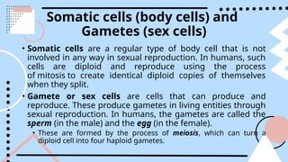 gen bio CELL CLASSIFICATION AND TYPES.pptx