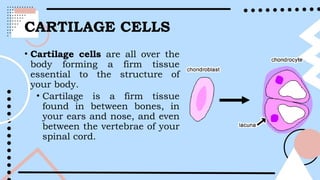 gen bio CELL CLASSIFICATION AND TYPES.pptx