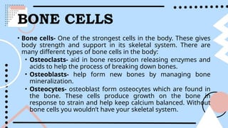 gen bio CELL CLASSIFICATION AND TYPES.pptx