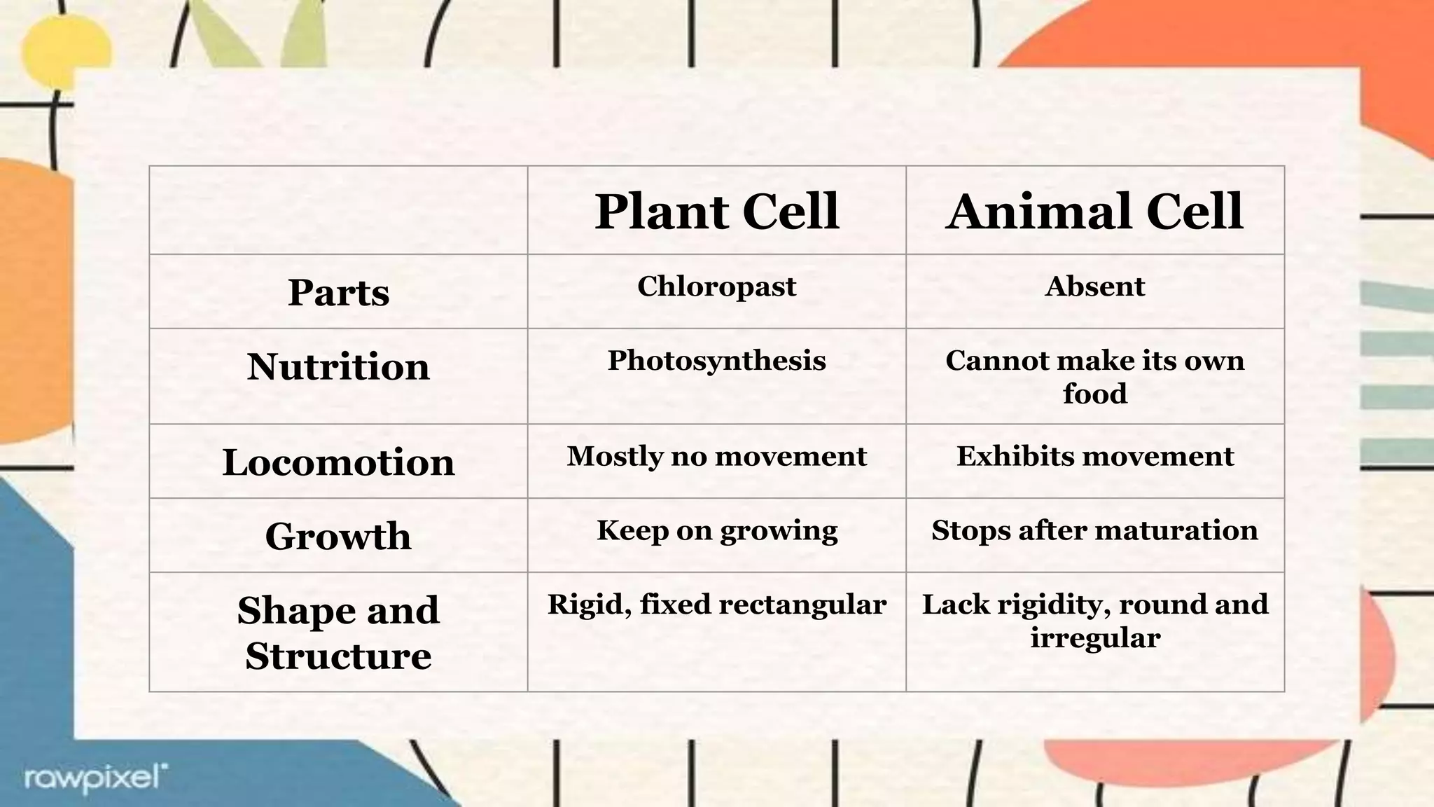 Cell Classifications.pptx