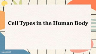 Cell Classifications.pptx | Biological Sciences | Science