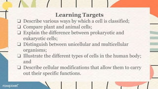 Cell Classifications.pptx | Biological Sciences | Science